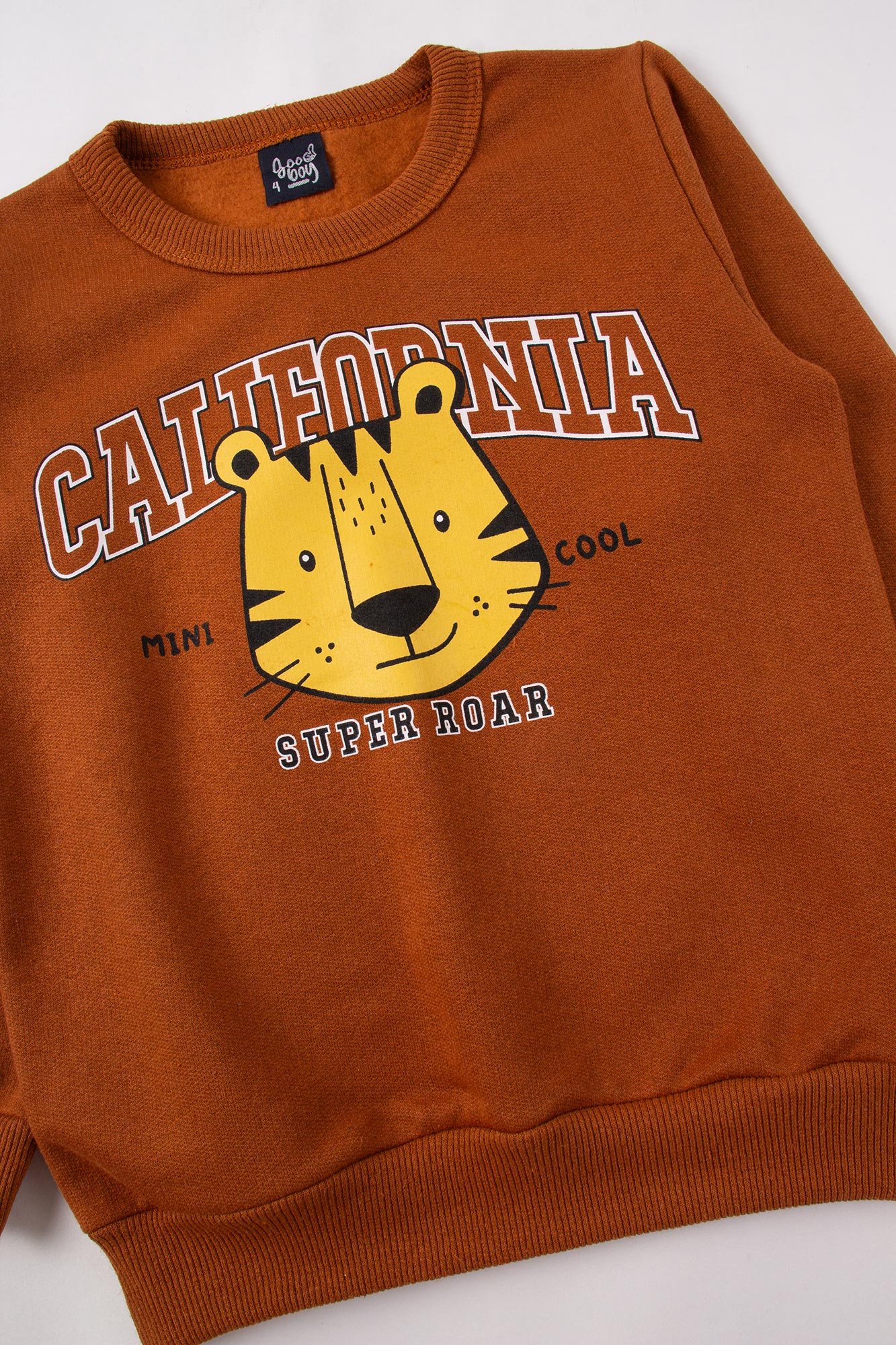 Conjunto Infantil Masculino Moletom Peluciado Super Roar - Good Boy ...