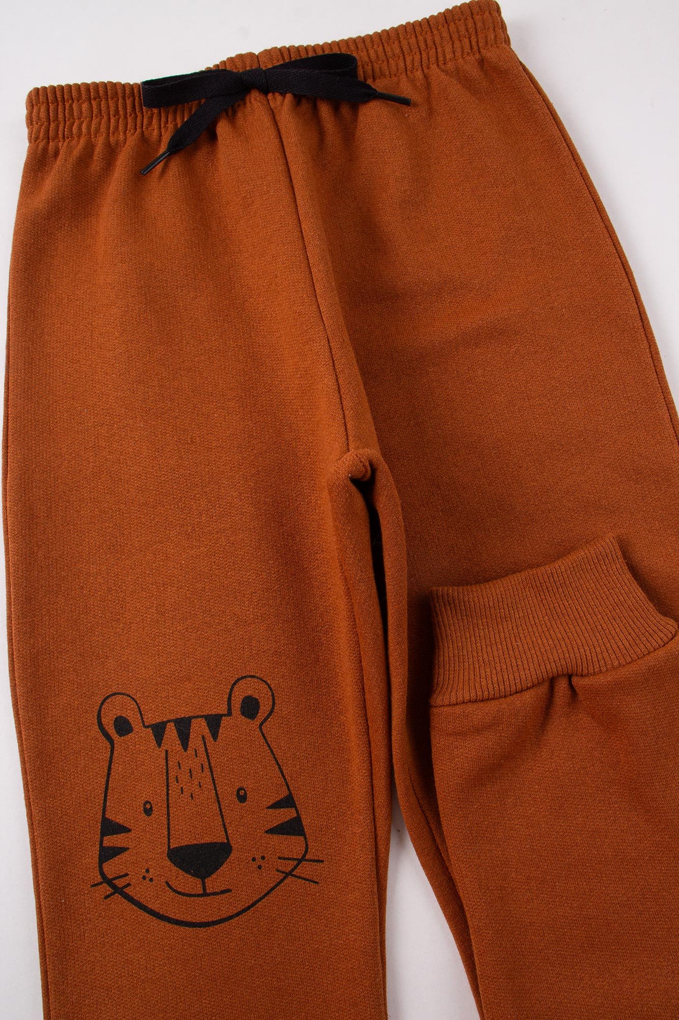 Conjunto Infantil Masculino Moletom Peluciado Super Roar - Good Boy ...