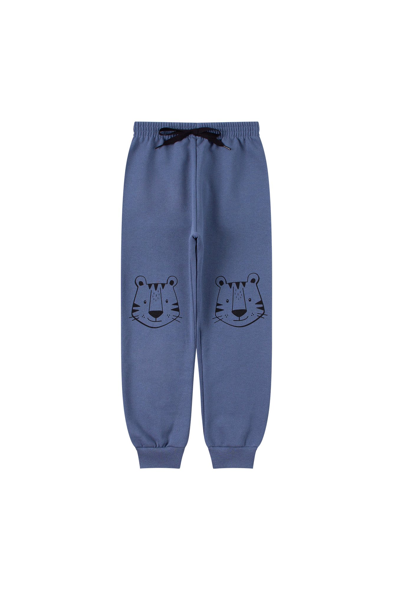 Conjunto Infantil Masculino Moletom Peluciado Super Roar - Good Boy / azul